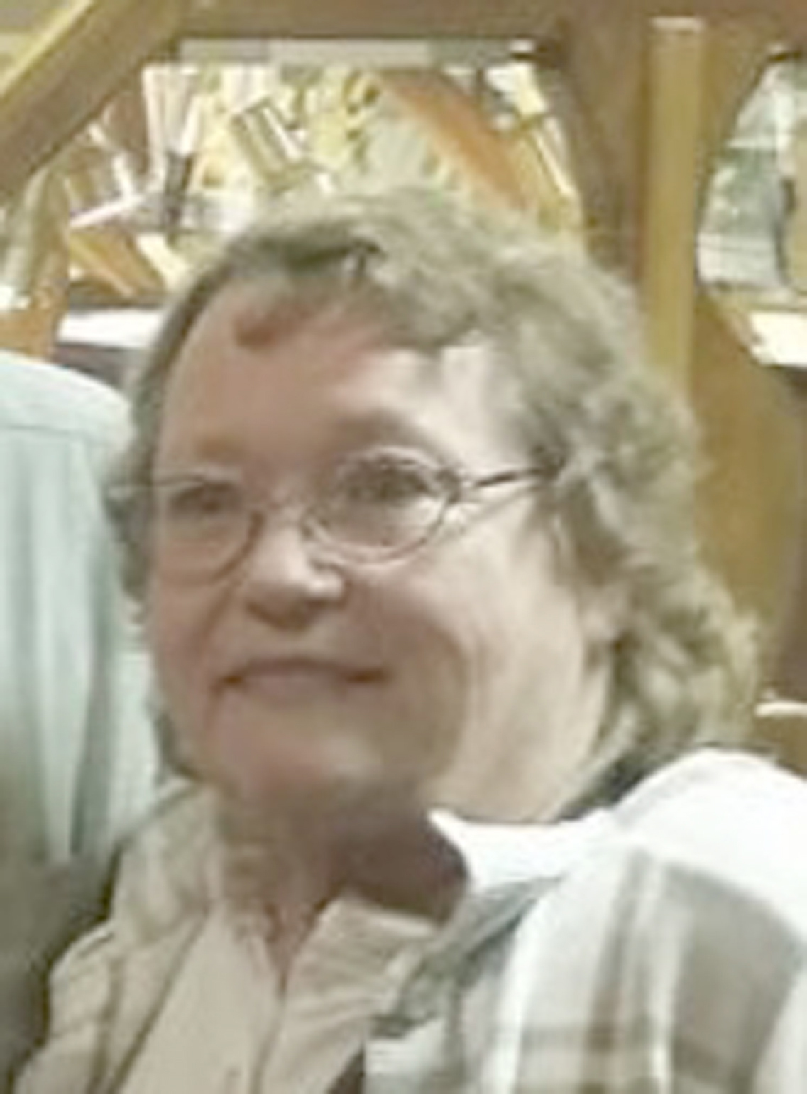 Sharon M (Abbey) Johnson | News, Sports, Jobs - Observer Today